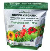 Carrots and Organic Fertilizers: The Ultimate Guide to Growing Vibrant ...